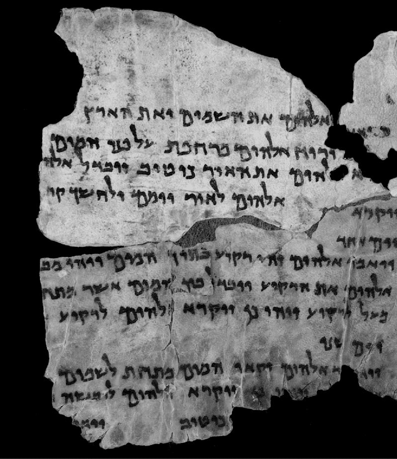 Five Forgotten Concepts from Genesis – TaborBlog