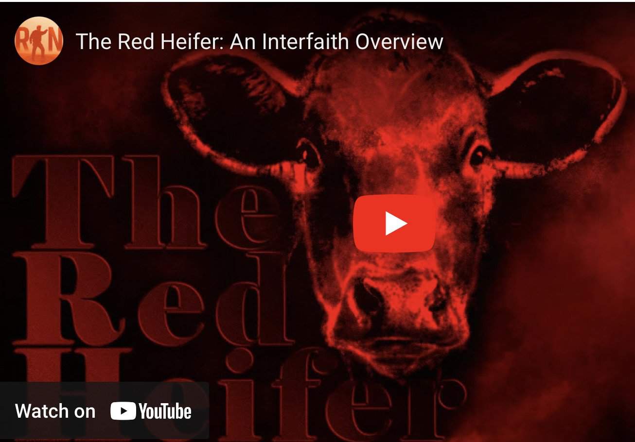 Jews, Christians, Red Heifers, and Conflict in the Middle East – TaborBlog